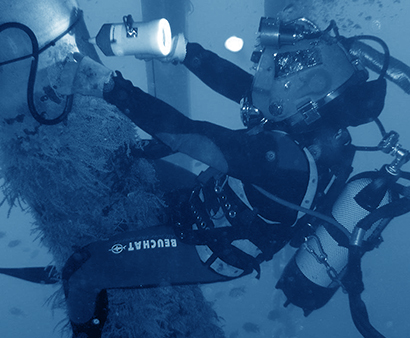 Home - Dolphin Diving Services