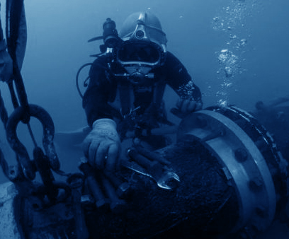 Home - Dolphin Diving Services