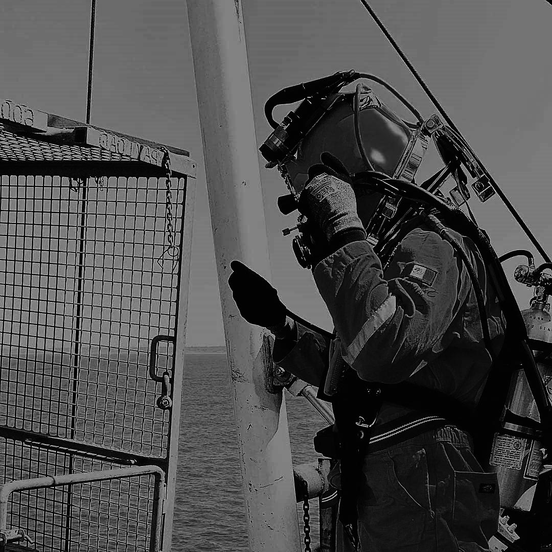 About Us - Dolphin Diving Services