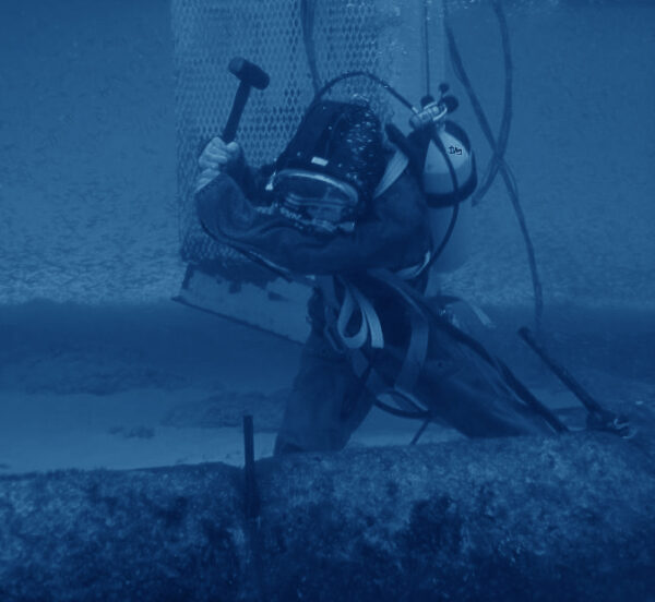 Home - Dolphin Diving Services